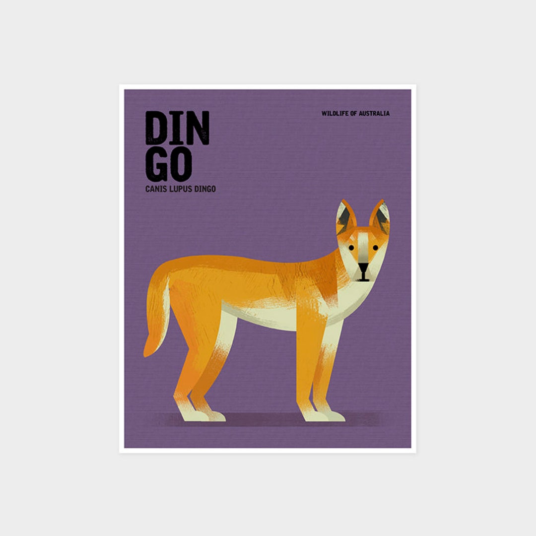 DINGO, Animals of Australia, Nursery Art Print, Education Poster Print ...