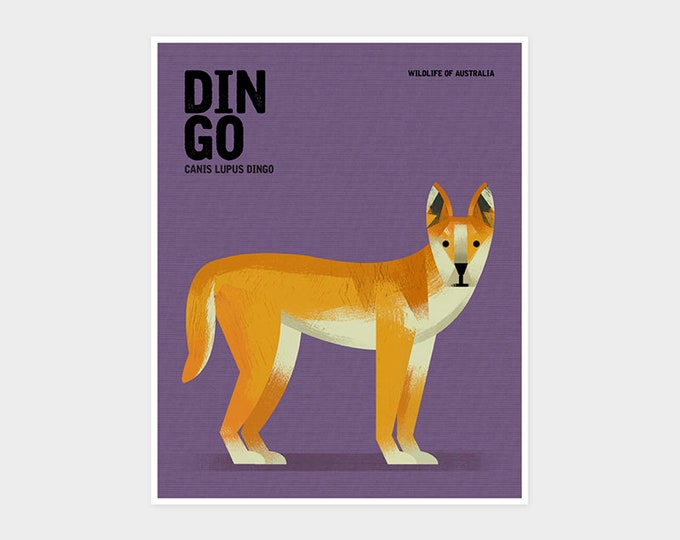 DINGO, Animals of Australia, Nursery Art Print, Education Poster Print ...