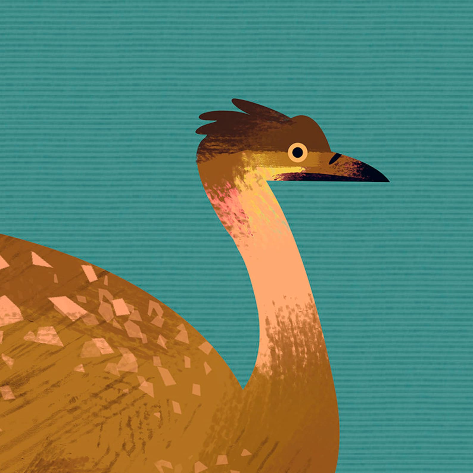 EMU Australian Animal Nursery Art Print Educational Kids - Etsy Australia