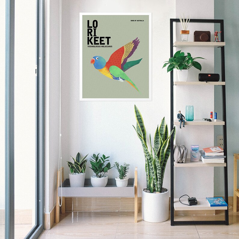 LORIKEET Birds of Australia, Rainbow Lorikeet, Australiana Art Prints ...