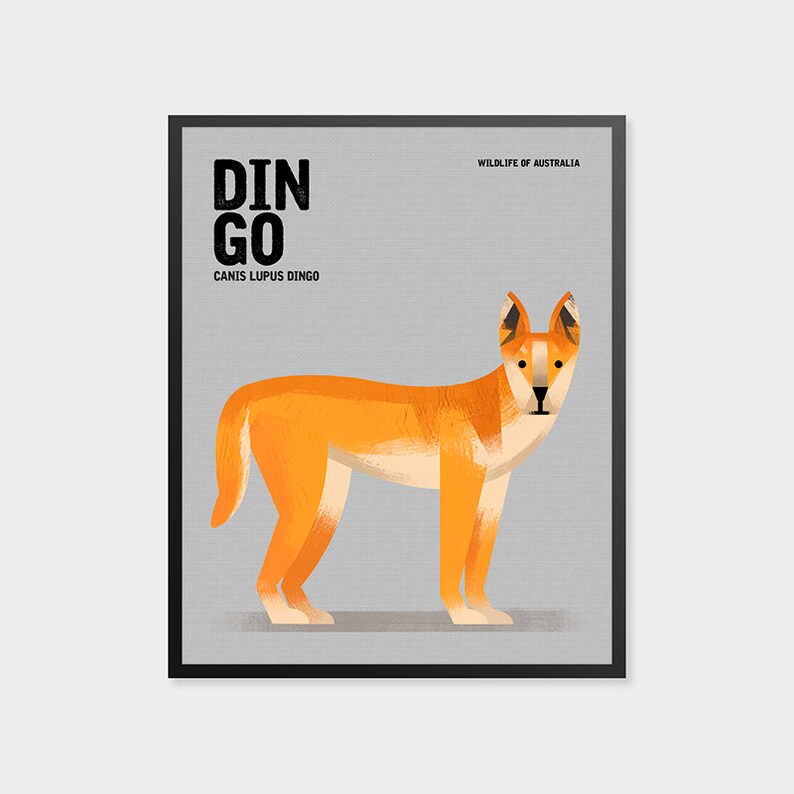 DINGO, Wildlife of Australia, Nursery Animal Wall Art Print ...