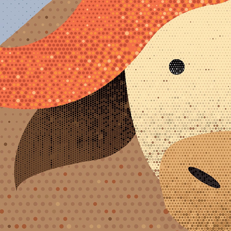 AFRICAN SAFARI Notecards, African Big 5 Animals, Elephant, Rhinoceros ...