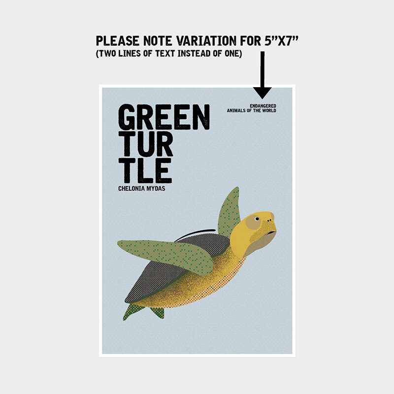 GREEN TURTLE Endangered Wildlife Wildlife Protection Marine - Etsy ...