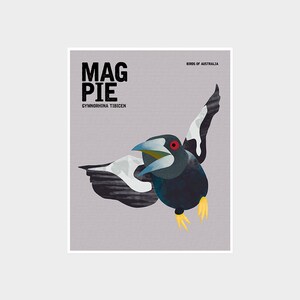 MAGPIE Birds of Australia, Australian Art Prints, Educational Poster ...