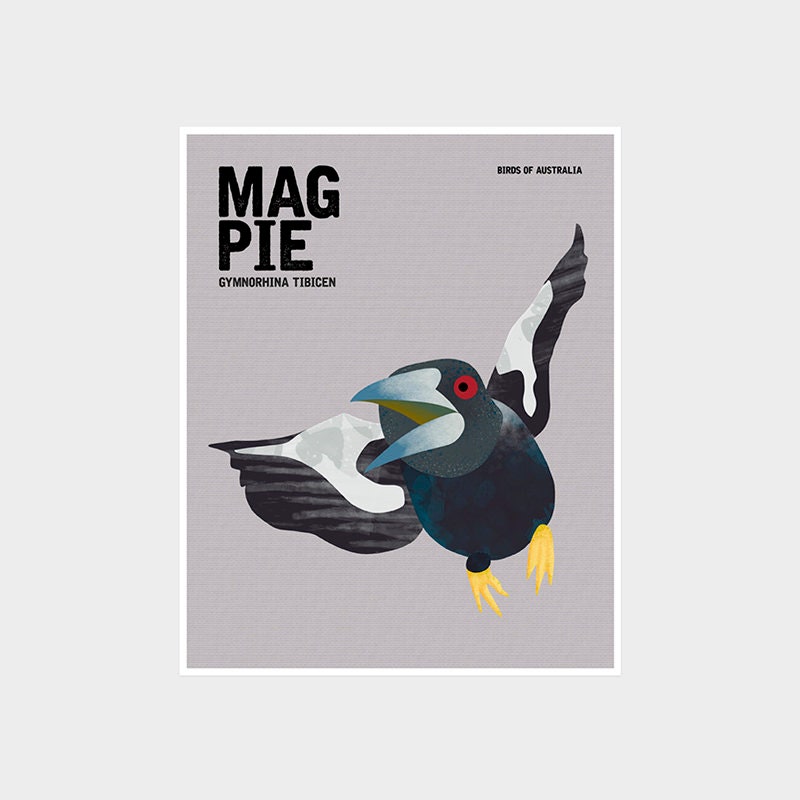 MAGPIE Birds of Australia Australian Art Prints Educational - Etsy ...