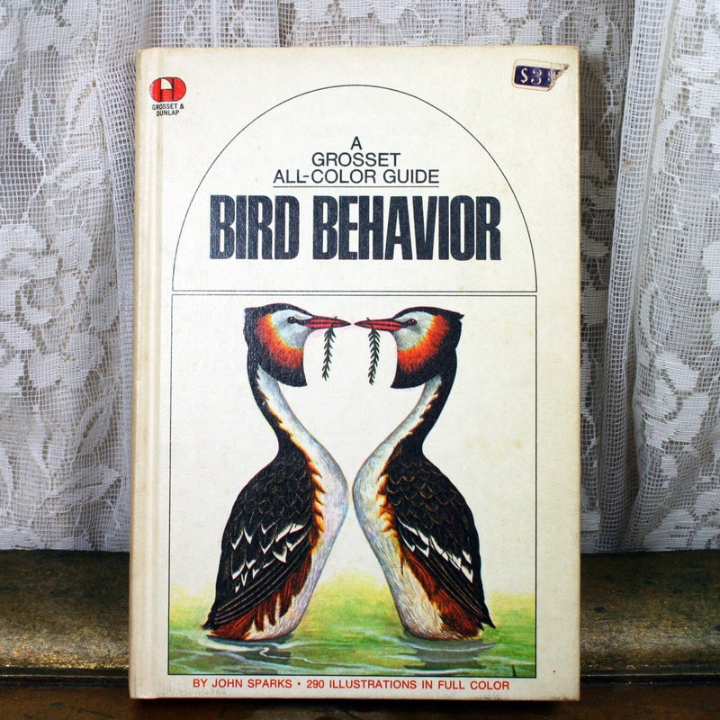 Book on Birds 1970 - Etsy