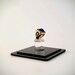 Ring Display Case for Collectors Rings, Championship Rings or Other ...