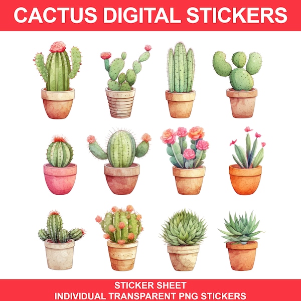 Cactus Sticker - Etsy