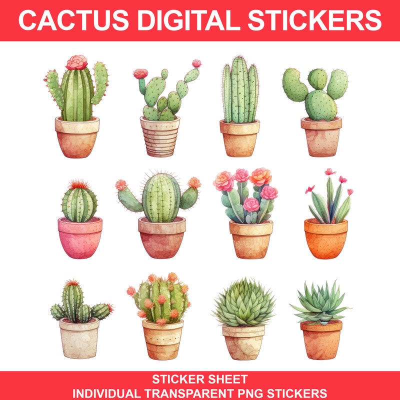 Cactus Stickers - Etsy