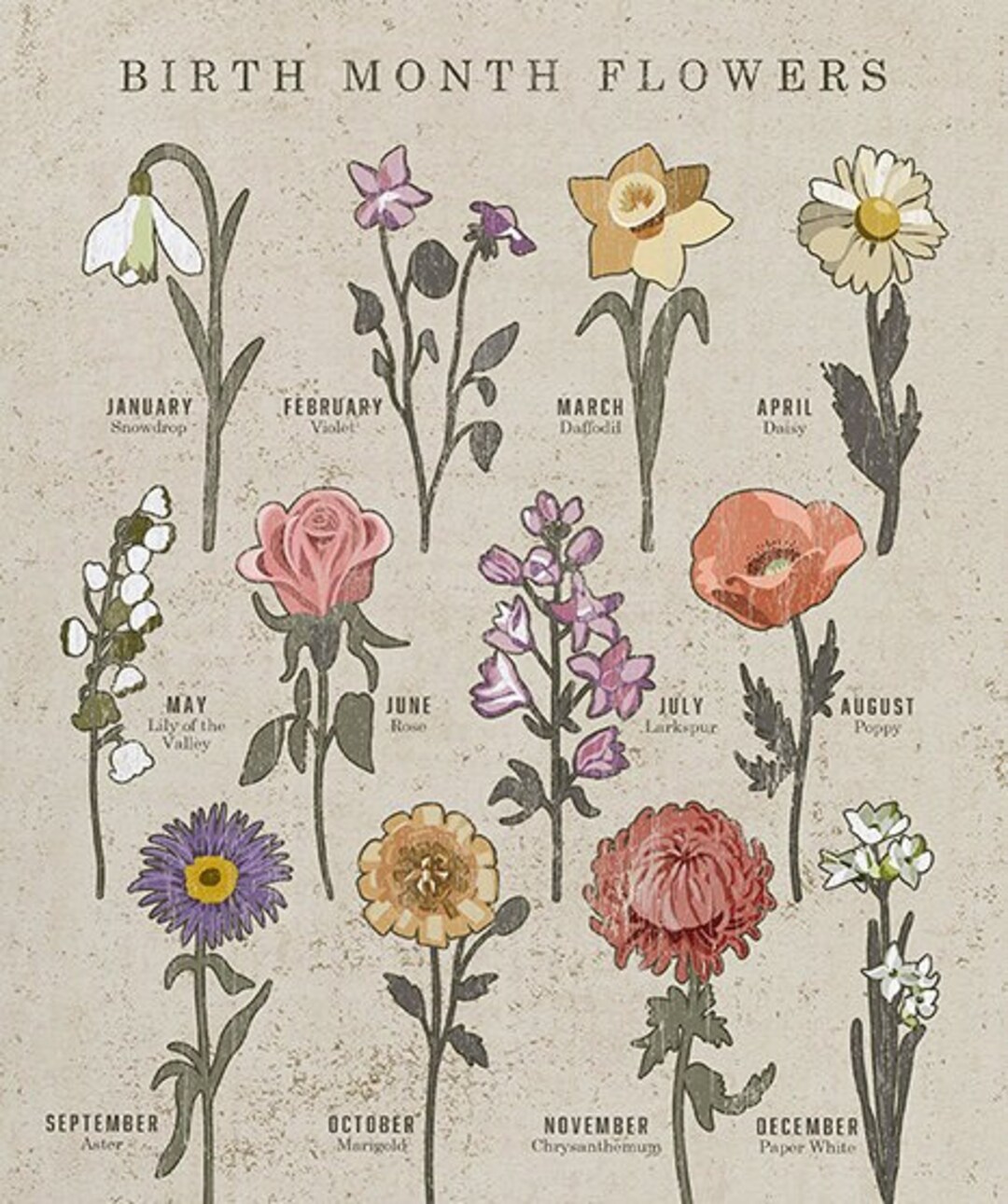 Birth Month Flower 8x10 Printable Art Vintage Printable Flower Art ...