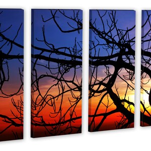 3 Panel Split Tree Fig at Sunset Canvas Print Triptych. Great for Home ...