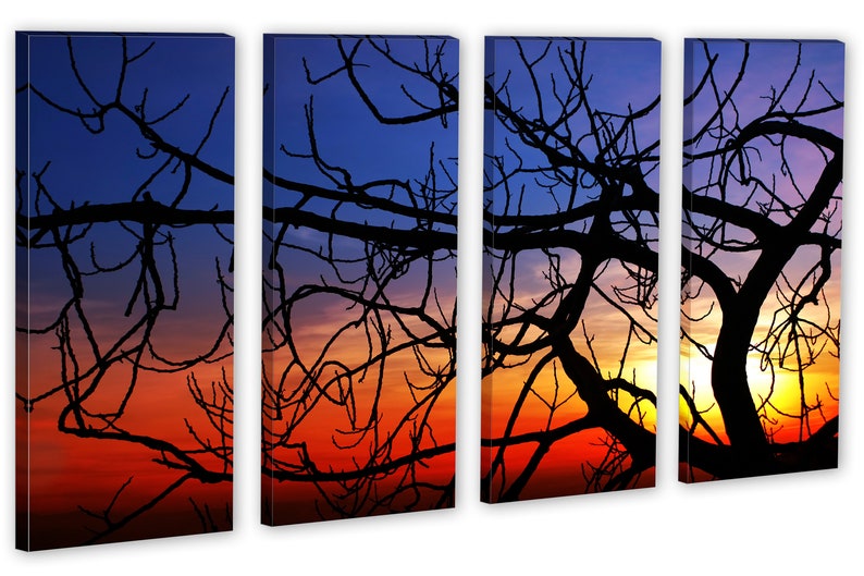 3 Panel Split Tree Fig at Sunset Canvas Print Triptych. Great - Etsy