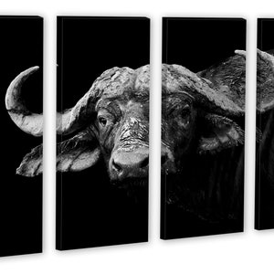 Buffalo Black and White - 3 Panel Split Canvas Print. Triptych ...