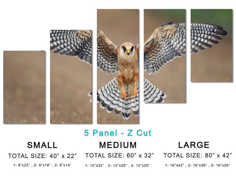 Red-footed Falcon in Flight Wall Art Canvas Print. Animal Art | Etsy