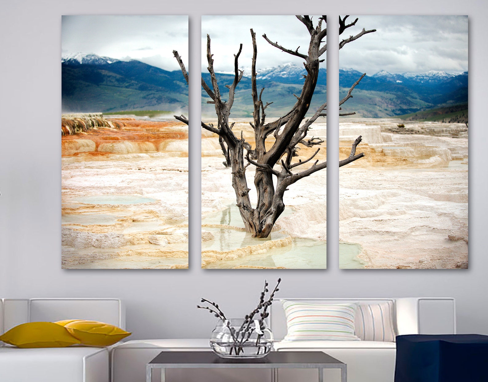 Dry Tree in Yellowstone Canvas Print Wall Art Desert Tree Landscape ...