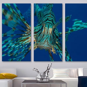 Red Sea Lionfish Wall Art Closeup Canvas Print Wall Art - Aquatic Green ...