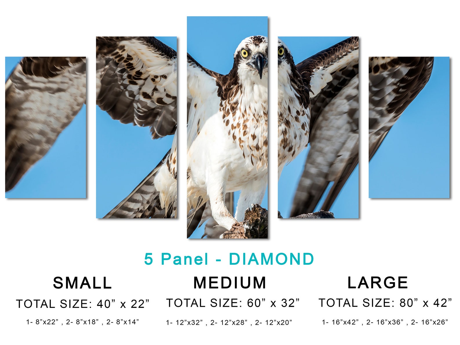 Osprey Bird Canvas Print Wall Art - Wildlife Bird Photography. of a Sea ...