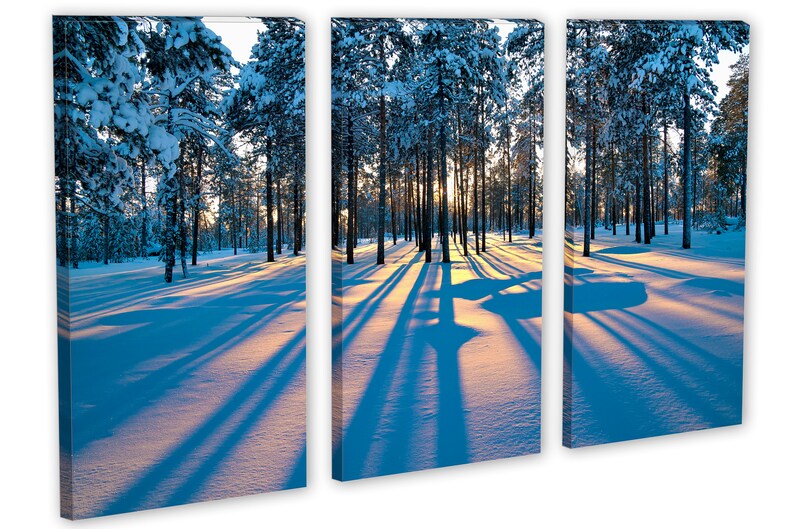 Winter Forest Sunset Canvas Print With Snow Covered Pine Trees and Long ...