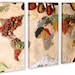 World Spice Map Canvas Wall Art Map of Salt & Spices Map - Etsy