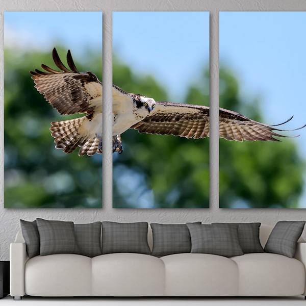 Osprey Art - Etsy