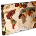 World Spice Map Canvas Wall Art Map of Salt & Spices Map - Etsy
