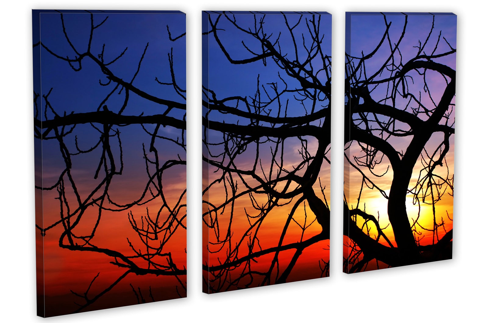 3 Panel Split Tree Fig at Sunset Canvas Print Triptych. Great - Etsy