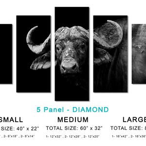 Buffalo Black and White - 3 Panel Split Canvas Print. Triptych ...