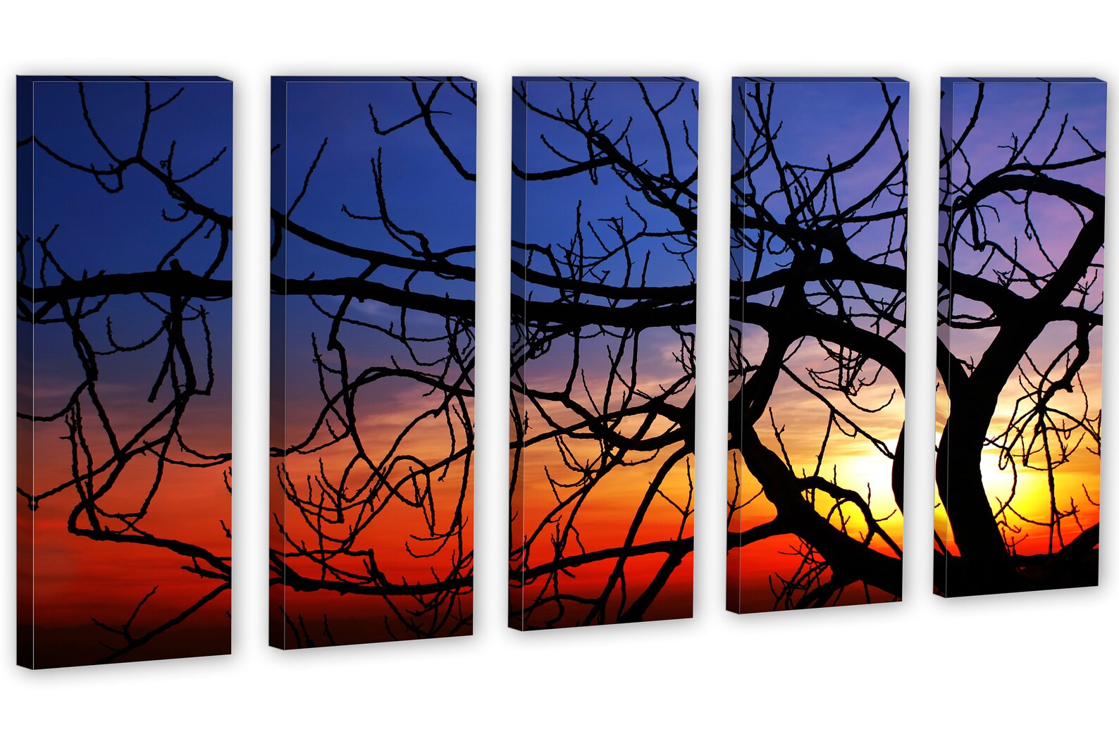 3 Panel Split Tree Fig at Sunset Canvas Print Triptych. Great | Etsy
