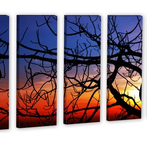 3 Panel Split Tree Fig at Sunset Canvas Print Triptych. Great for Home ...