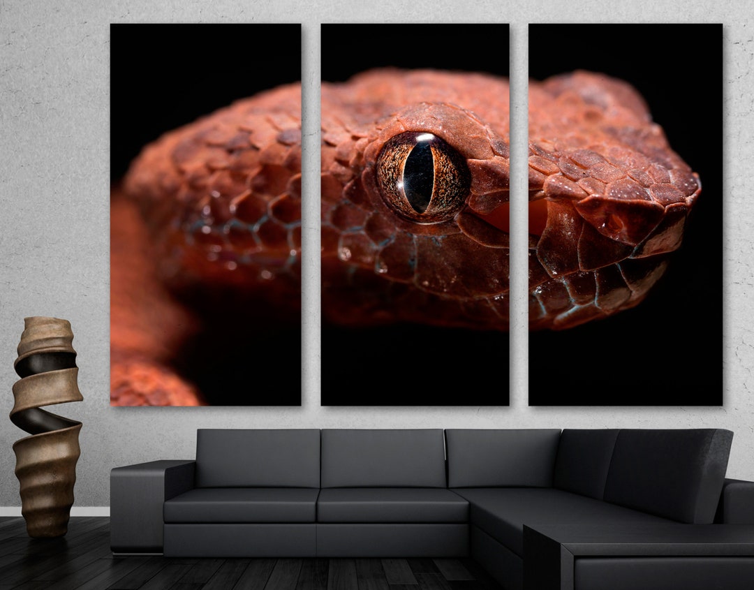 Red Viper Snake Head Wall Art Canvas Print. Reptile Eye, Animal Art ...