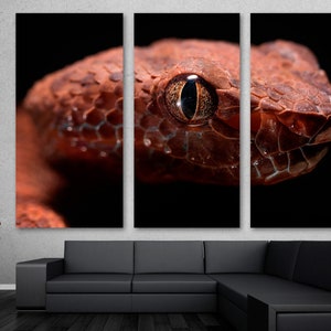 Red Viper Snake Head Wall Art Canvas Print. Reptile Eye, Animal Art ...