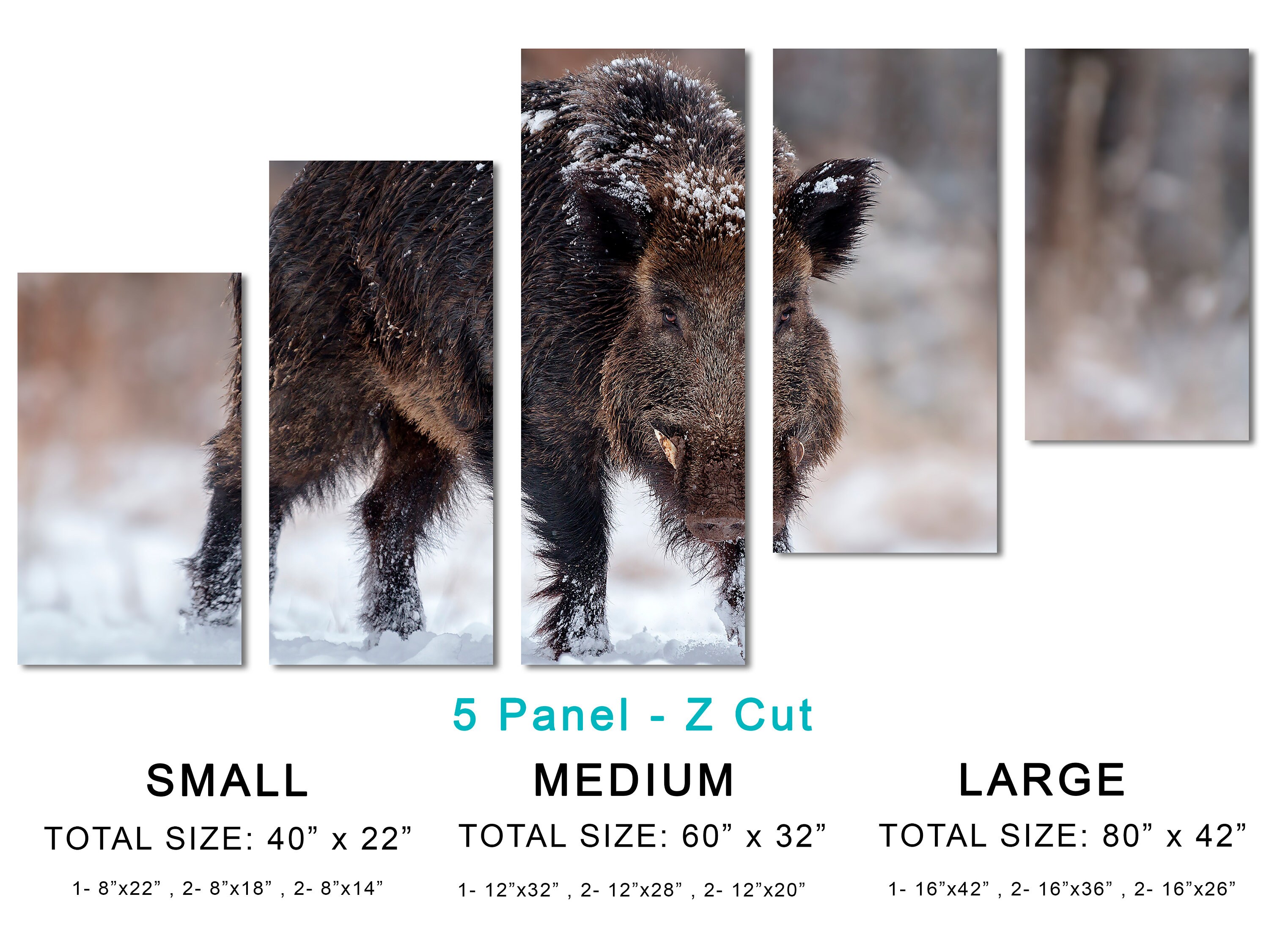 Wild Boar Hog Wall Art Canvas Print. Wildlife Photography | Etsy