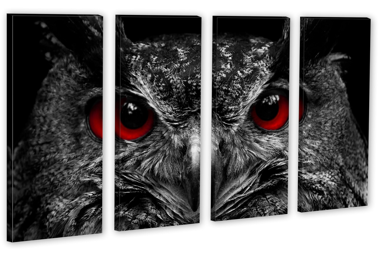 Blood Eyed Owl Portrait Canvas Print Wall Art. Wildlife Bird Art ...