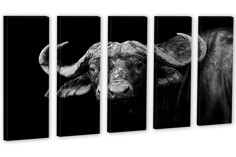 Buffalo black and white 3 Panel Split Canvas Print. | Etsy