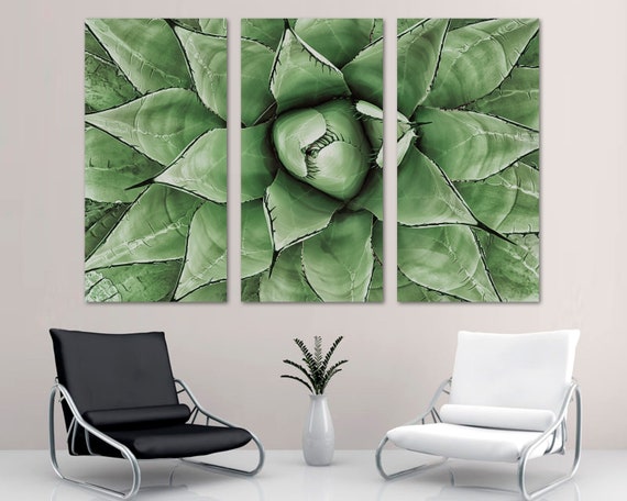 Green Agave Wall Art Canvas Print. Agave Plant Agave Print | Etsy
