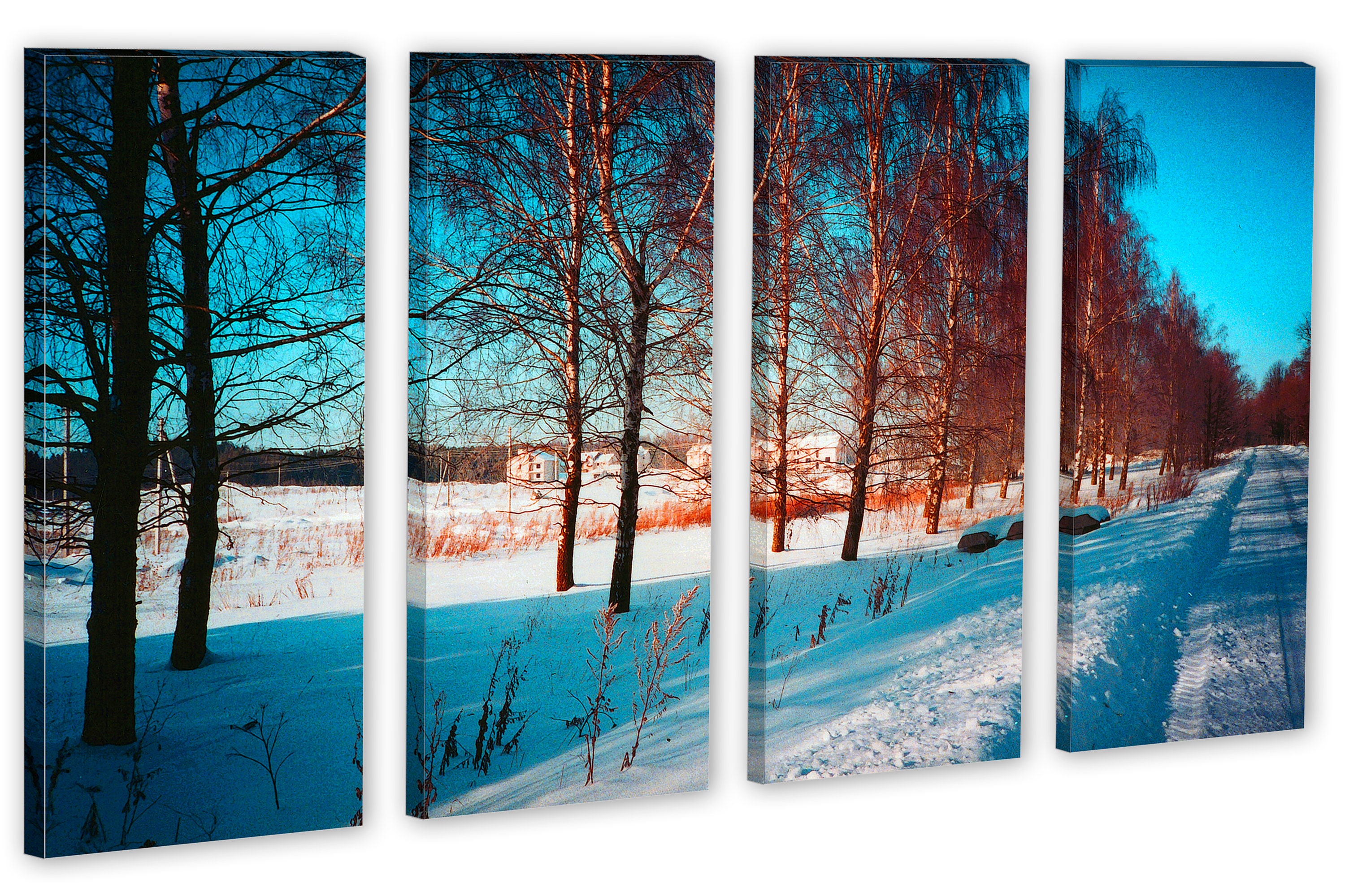 3 Panel Split Triptych Winter Snow Photo Canvas Print | Etsy