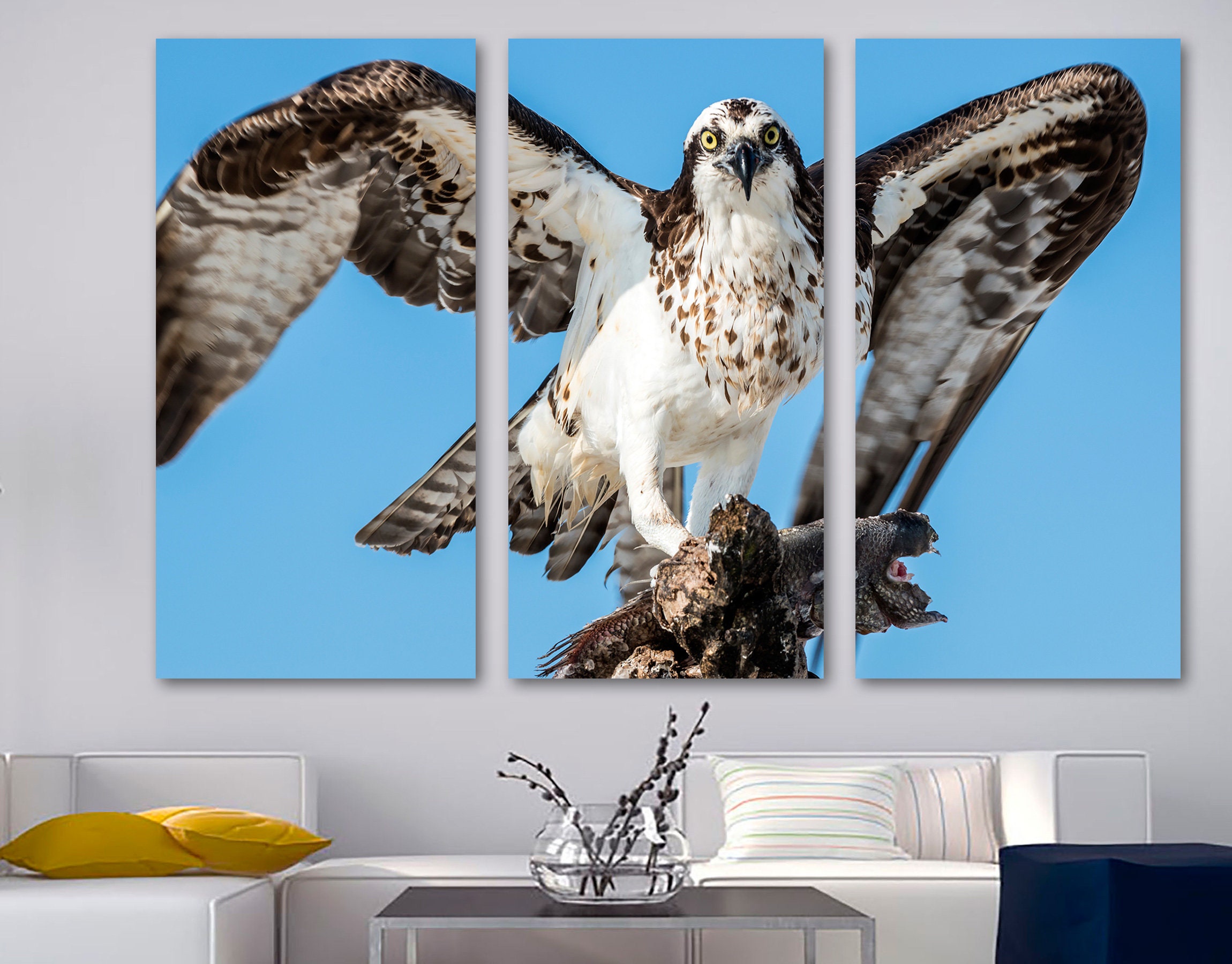 Osprey Bird Canvas Print Wall Art - Wildlife Bird Photography. of a Sea ...