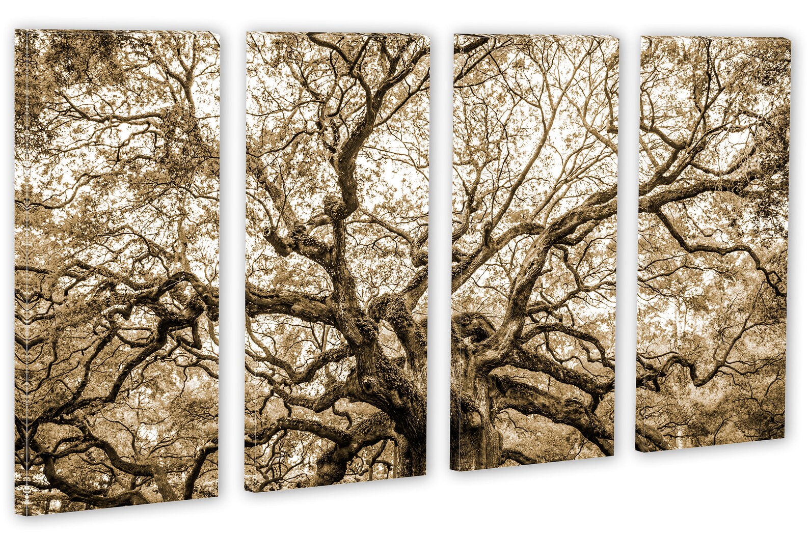 Angel Oak Tree Canvas Print Wall Art Brown Beige Color | Etsy