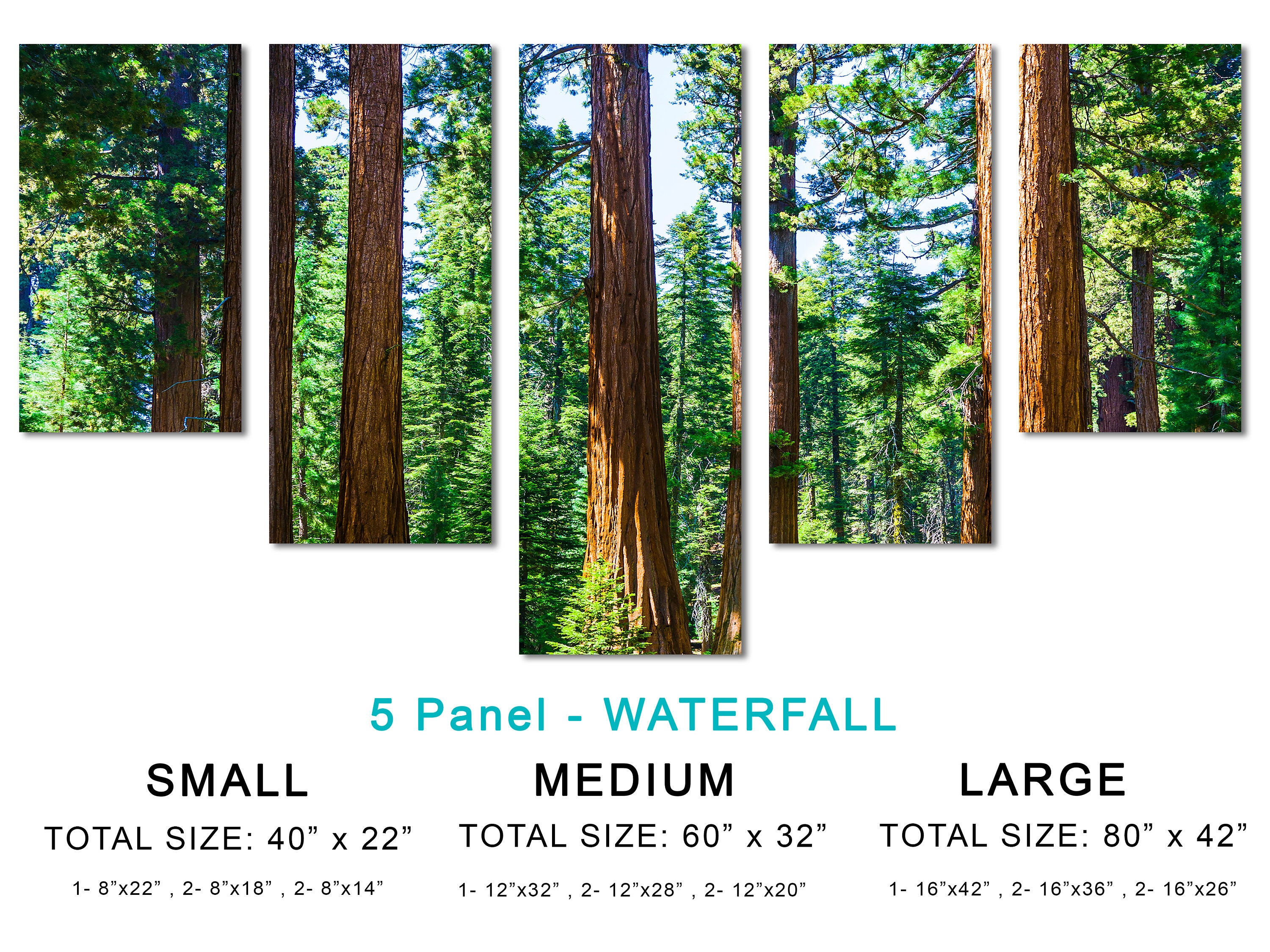 Big Sequoia trees in National Park Forest Canvas Print Wall | Etsy