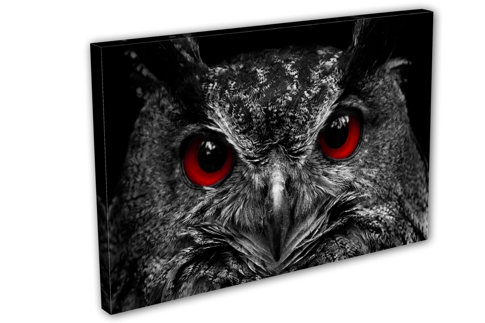 Blood Eyed Owl Portrait Canvas Print Wall Art. Wildlife Bird Art ...