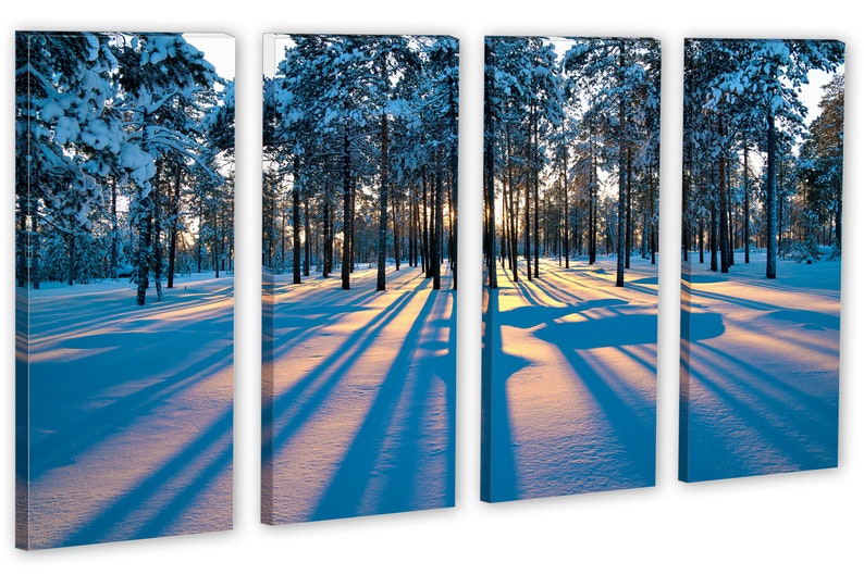 Winter Forest Sunset Canvas Print With Snow Covered Pine Trees and Long ...