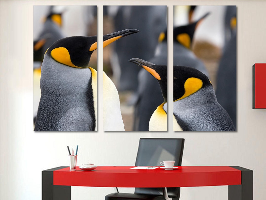 King Penguin Canvas Wall Art Featuring Antarctic Wildlife Photography ...