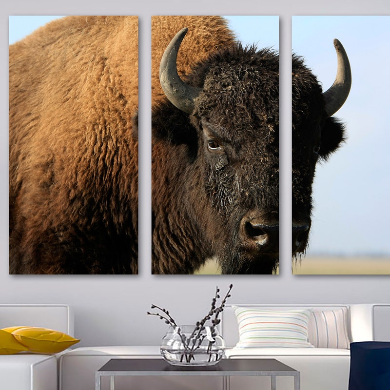 Bison Canvas - Etsy