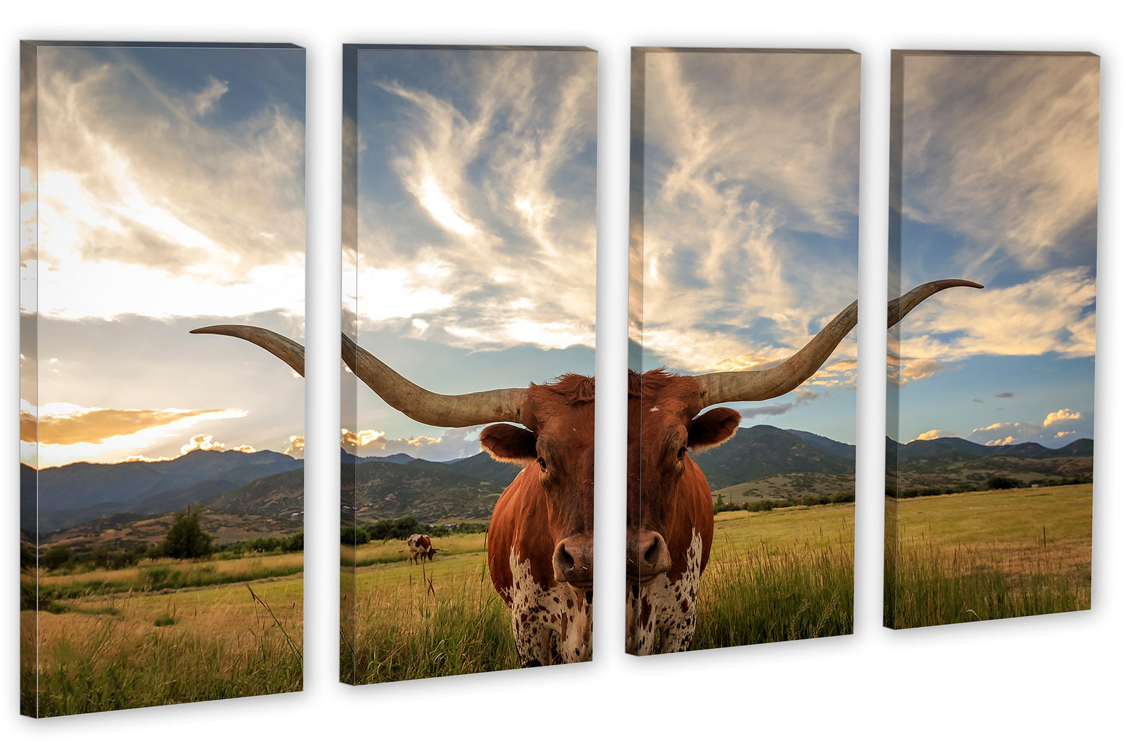 Texas Longhorn Wall Art Canvas Print. Large Cow Print Animal Art of ...