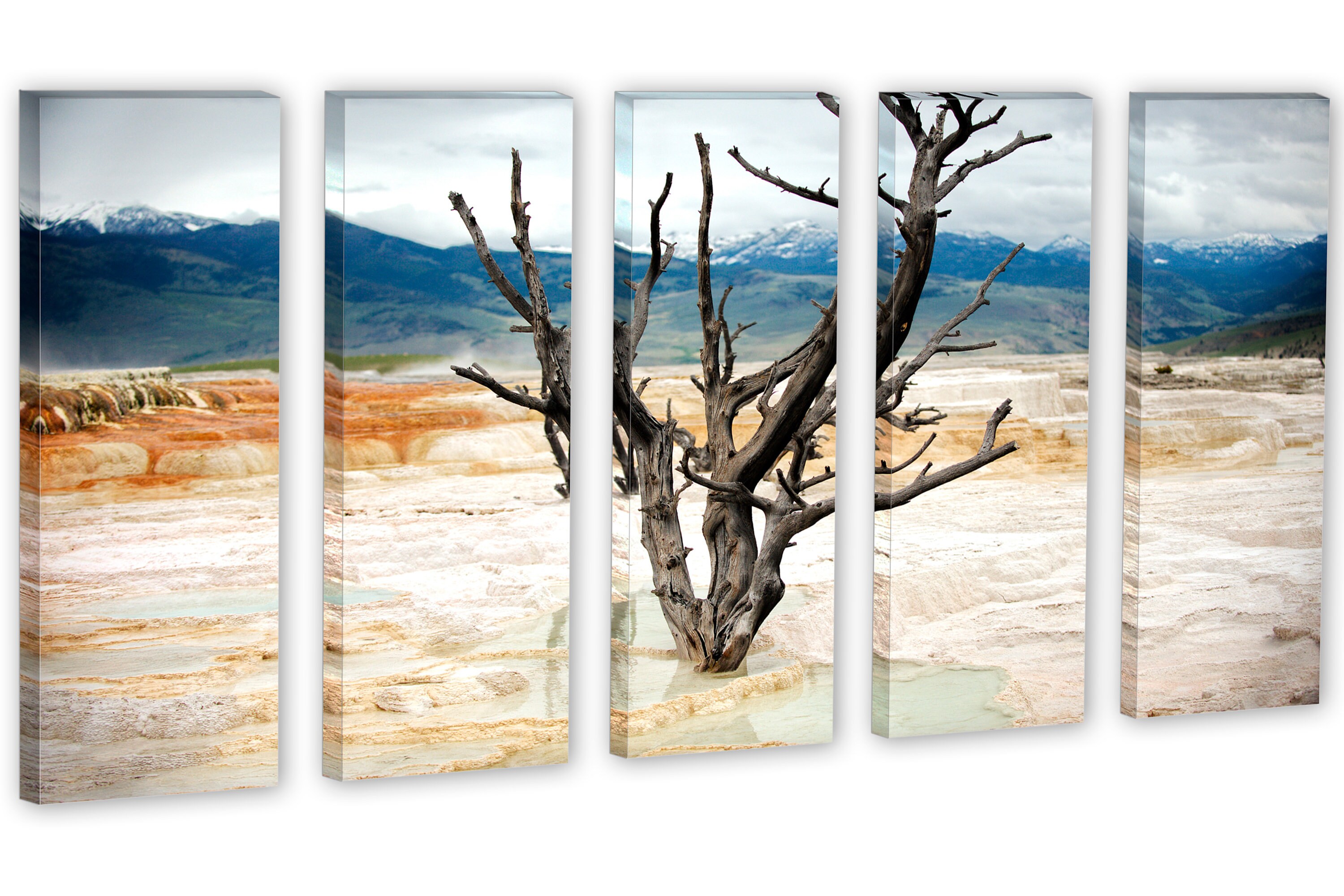Dry Tree in Yellowstone Canvas Print Wall Art Desert Tree | Etsy