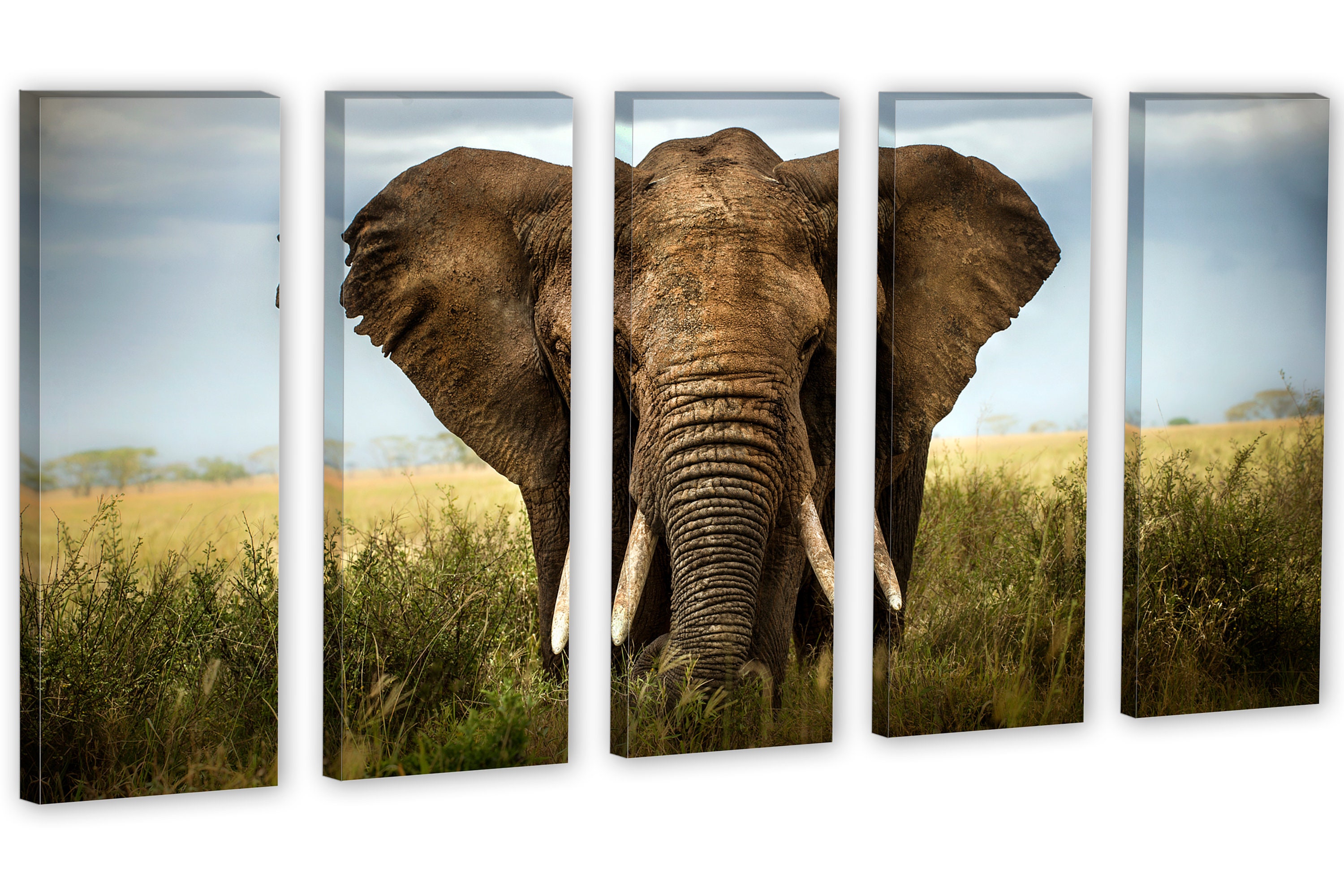 Giant Elephant Wall Art Canvas Print. Elephant Art Wildlife | Etsy