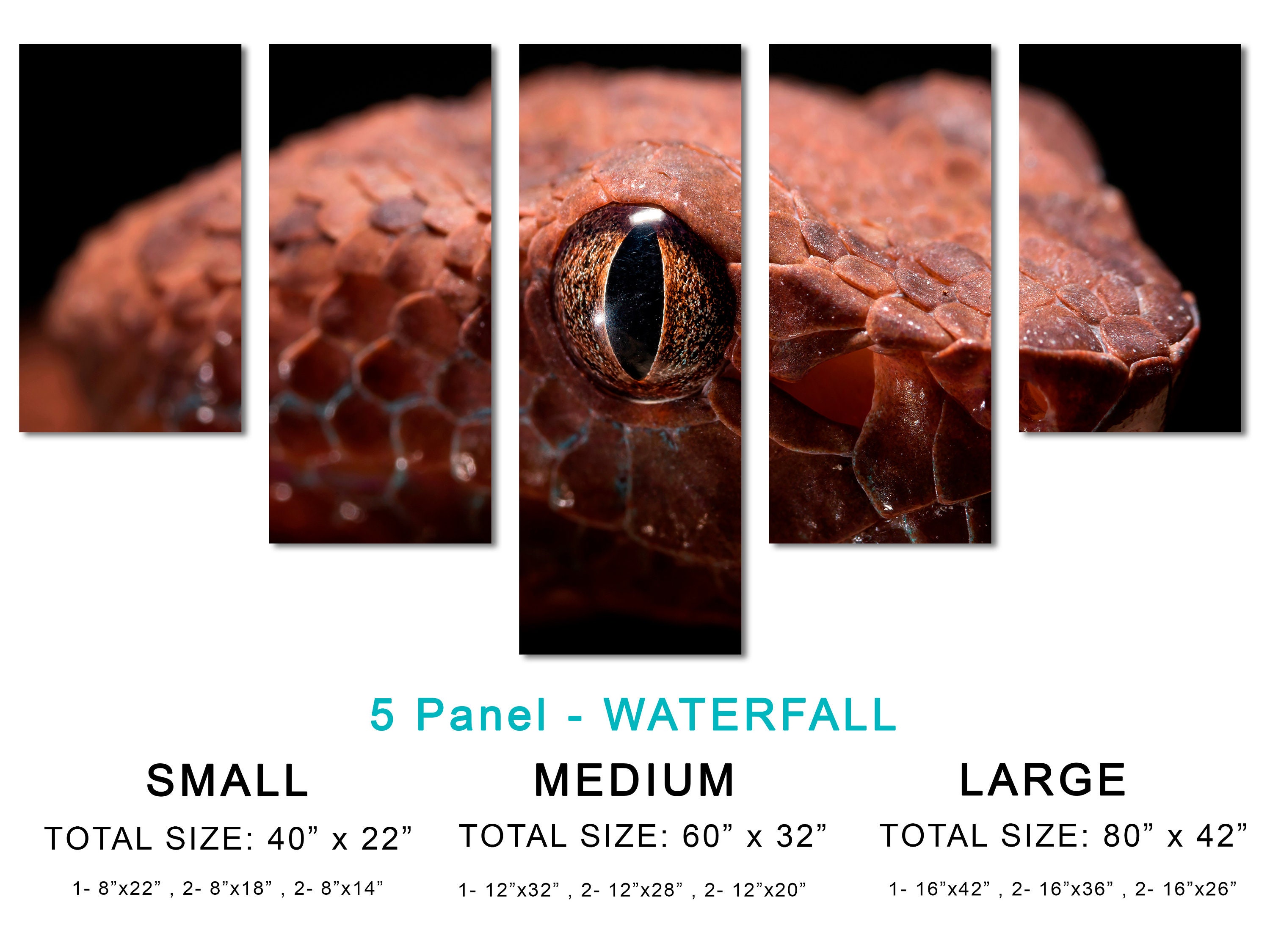 Red Viper Snake Head Wall Art Canvas Print. Reptile Eye, Animal Art ...