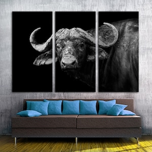 Buffalo Black and White - 3 Panel Split Canvas Print. Triptych ...