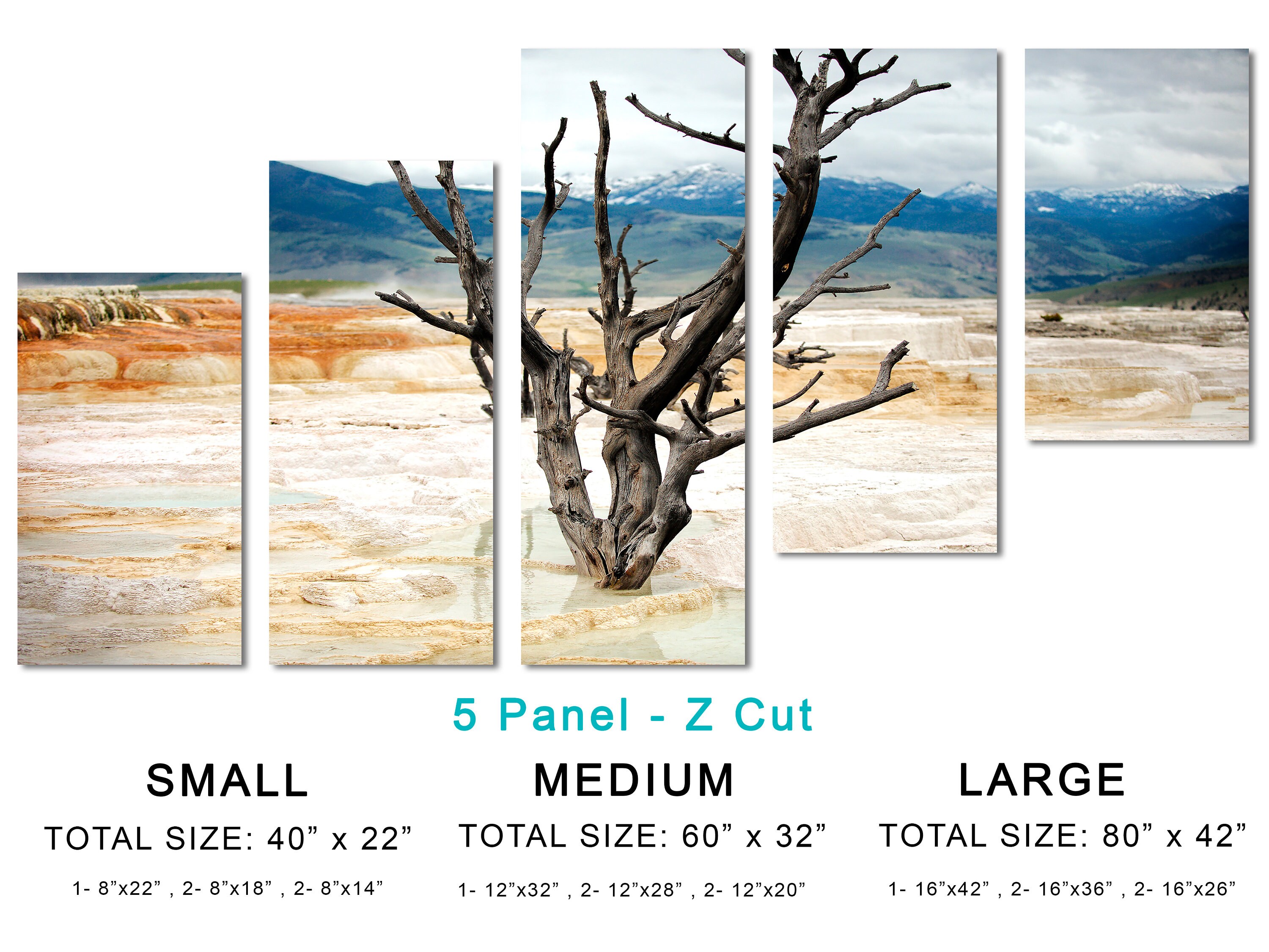 Dry Tree in Yellowstone Canvas Print Wall Art Desert Tree | Etsy