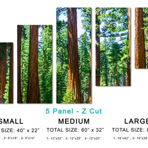 Big Sequoia Trees in National Park Forest Canvas Print Wall Art. Green ...